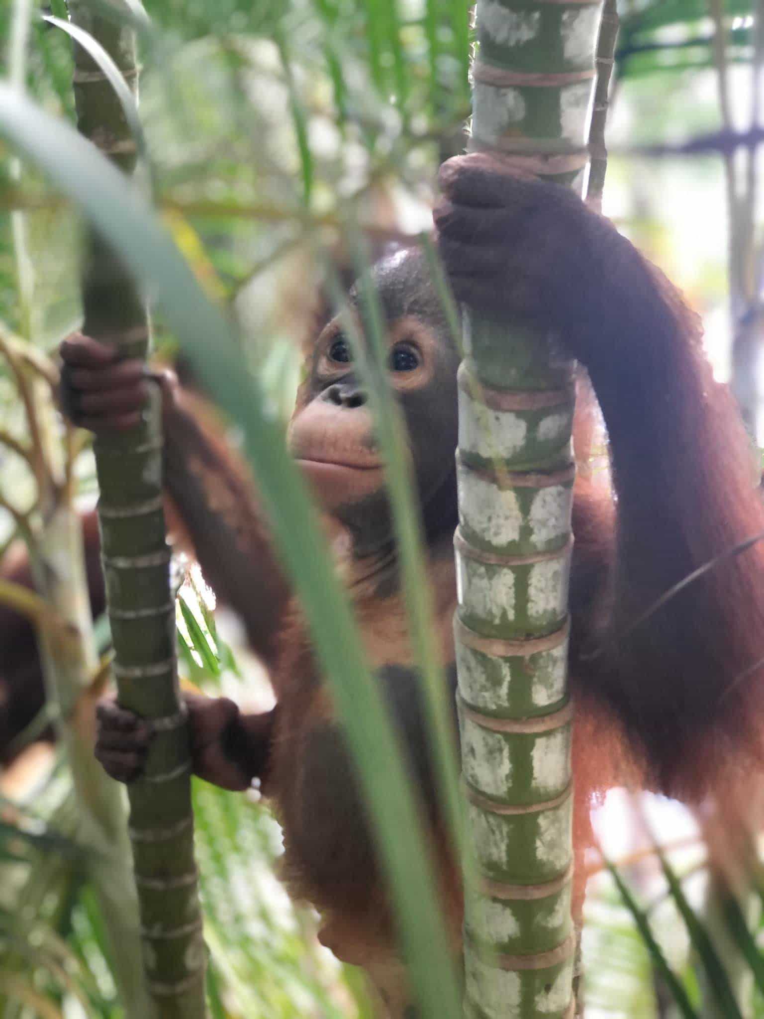 A'Famosa Melaka Tickets Online