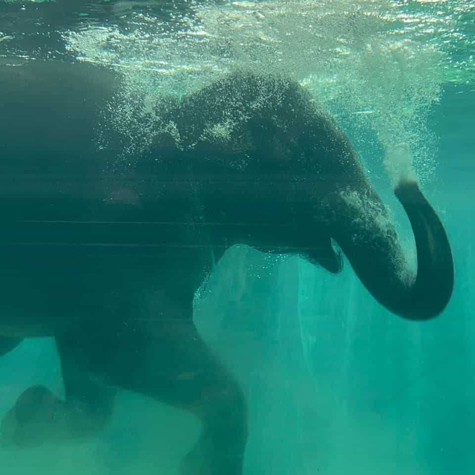 A'Famosa Melaka Tickets Online