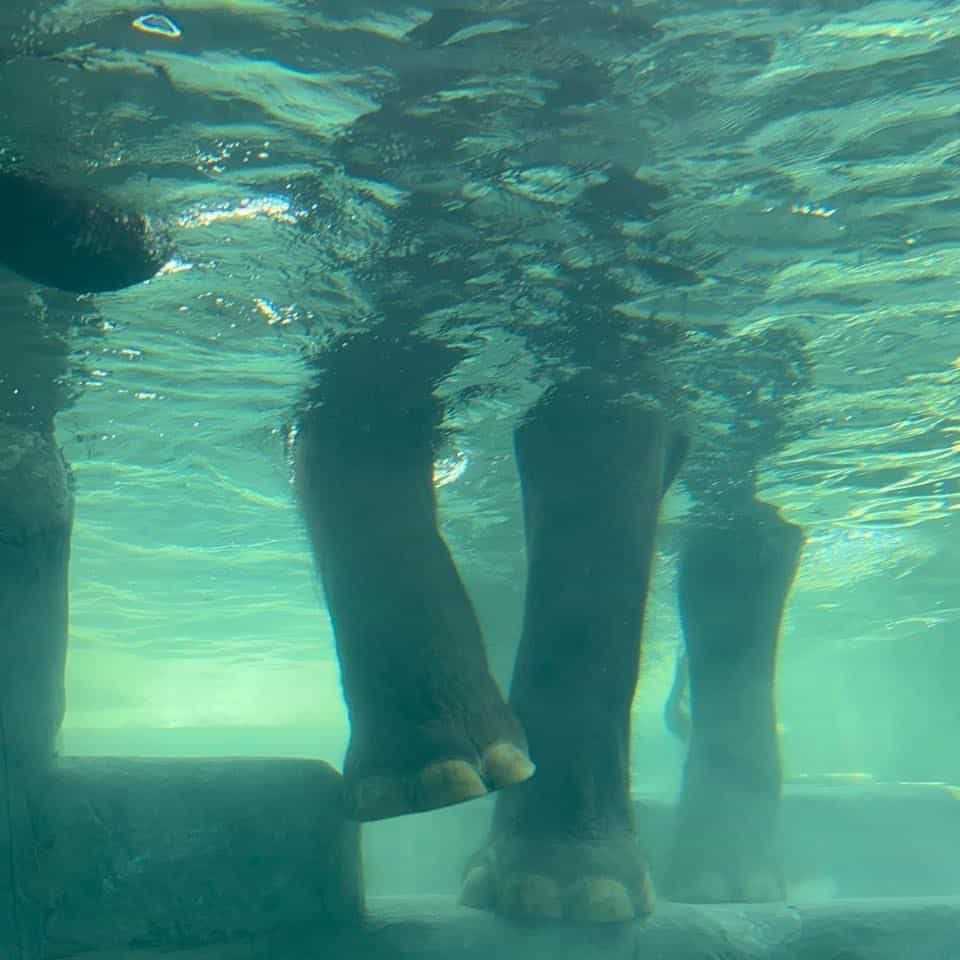 A'Famosa Melaka Tickets Online