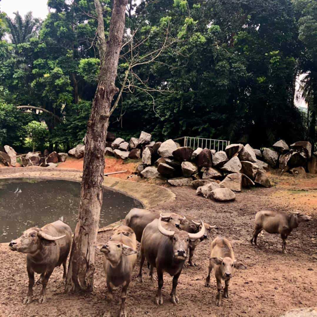 A'Famosa Melaka Tickets Online